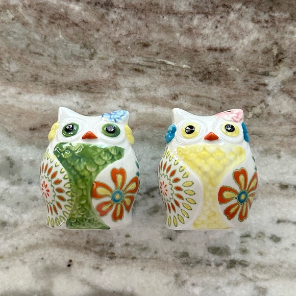 Pier 1 | Kitchen | Pier Owl Salt Pepper Shaker Set | Poshmark